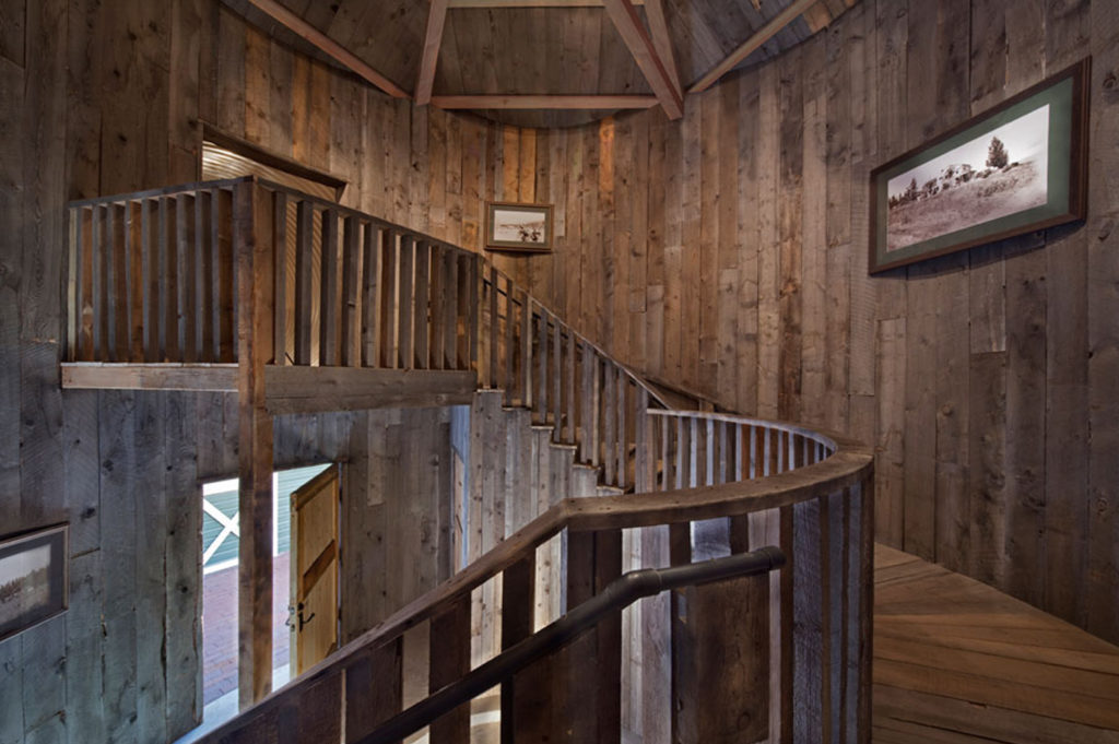 Paws Up Bull Barn - NC Design Studio